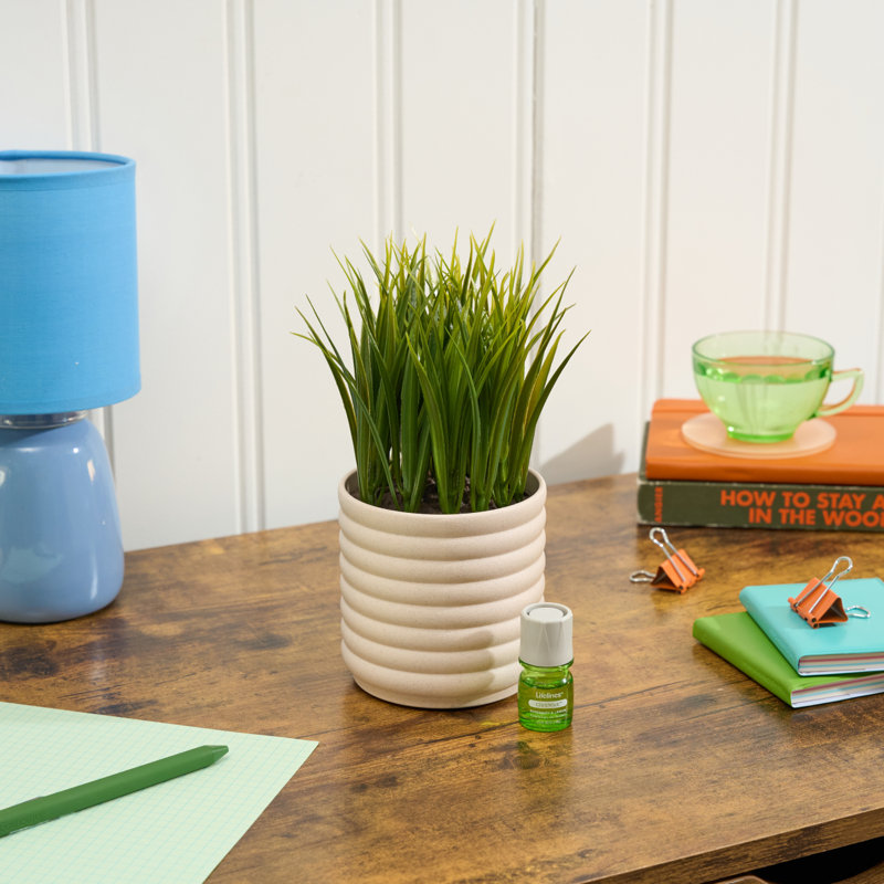 Lifelines Plant Diffuser - Grass Plant - Bubble White & Reviews | Wayfair