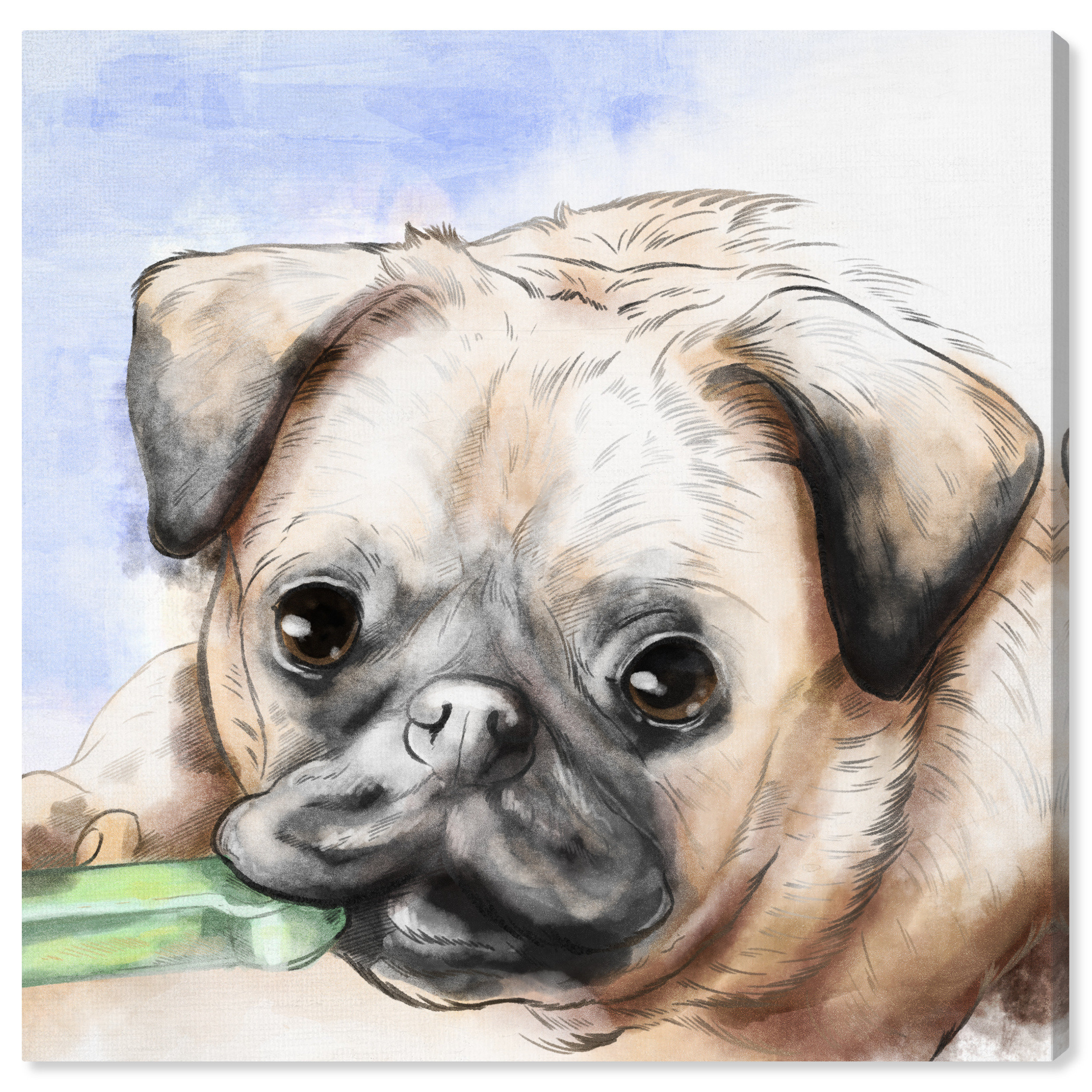 Oliver Gal Prints Munching Pug - Painting on Canvas | Wayfair