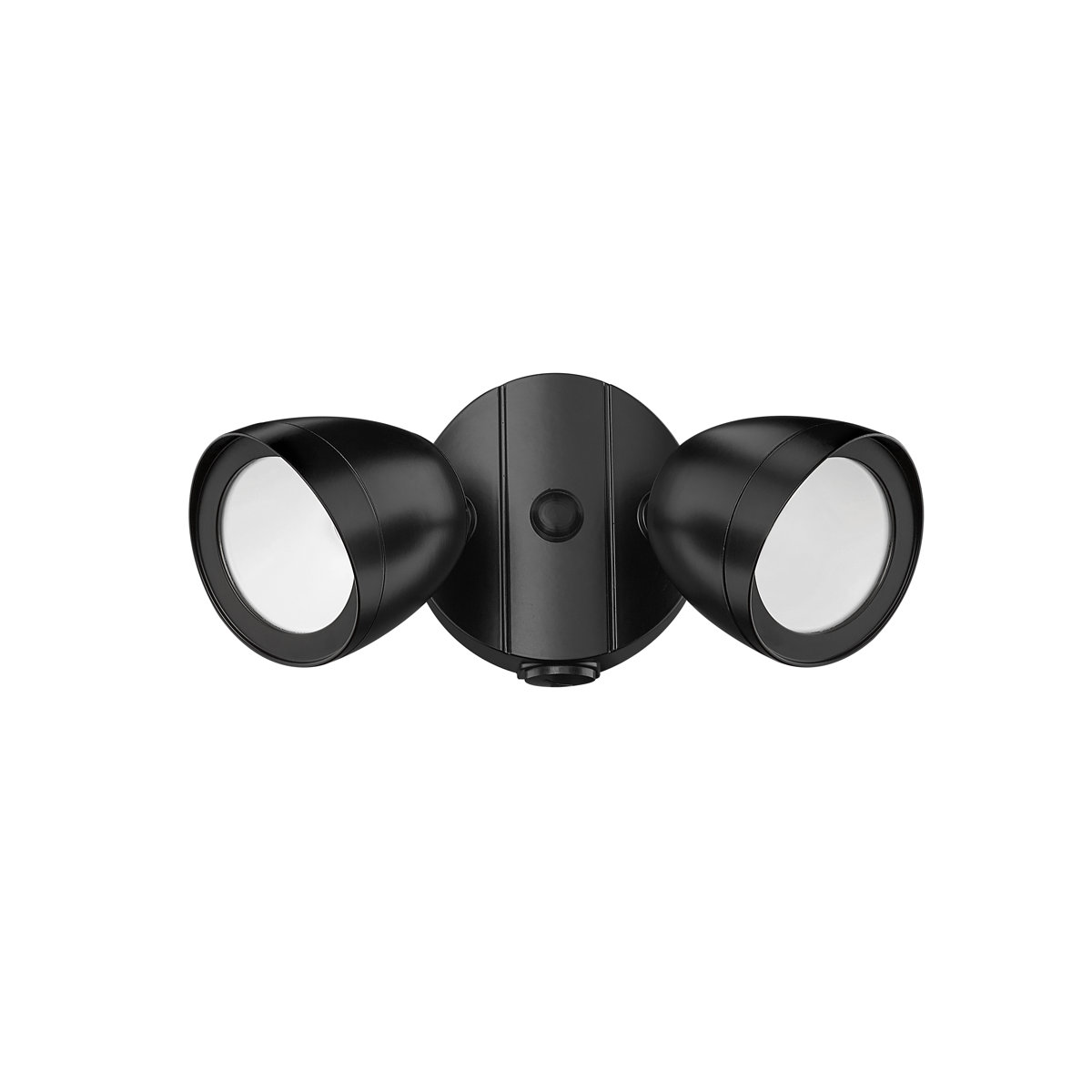 Millennium Lighting 20 Watt 2 - Head LED Hardwired Outdoor Security ...