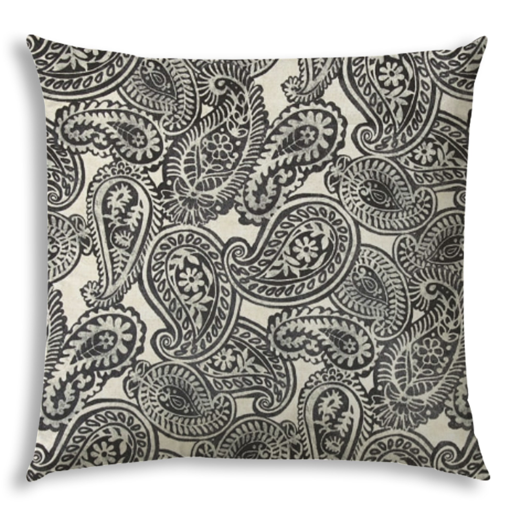 ZeaZu 20" X 20" Blown Seam Paisley Throw Indoor Outdoor Pillow | Wayfair