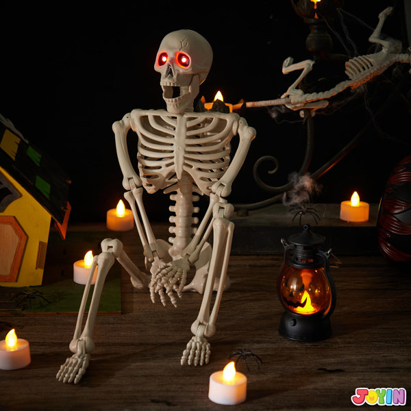 The Holiday Aisle® 24 inches Halloween Skeleton Full Body Human Plastic ...