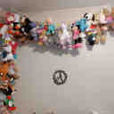 Dreambaby Toy Chain & Reviews | Wayfair