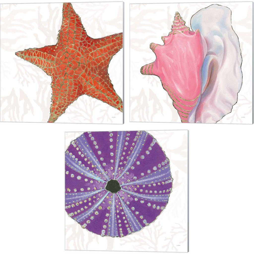 Rosecliff Heights Shimmering Shells C By James Wiens, Canvas Art (Set ...