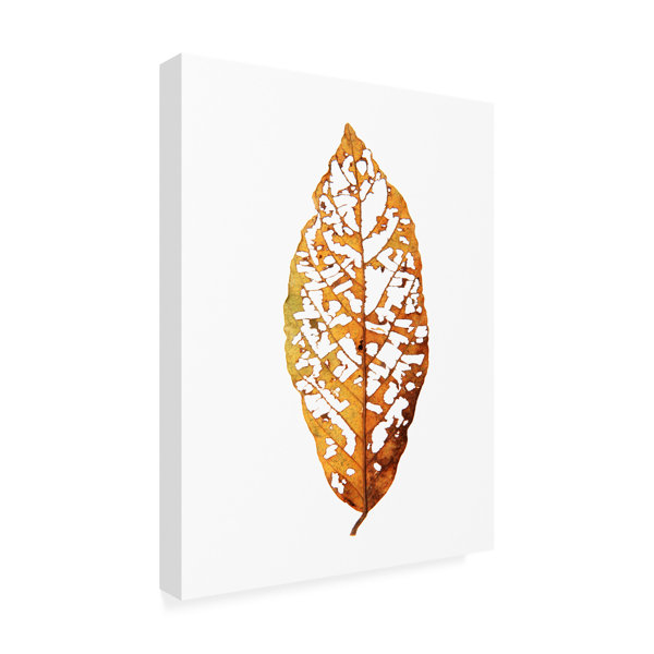 Winston Porter Shot By Clint Rainforst Leaf 01 Canvas Art - Wayfair Canada