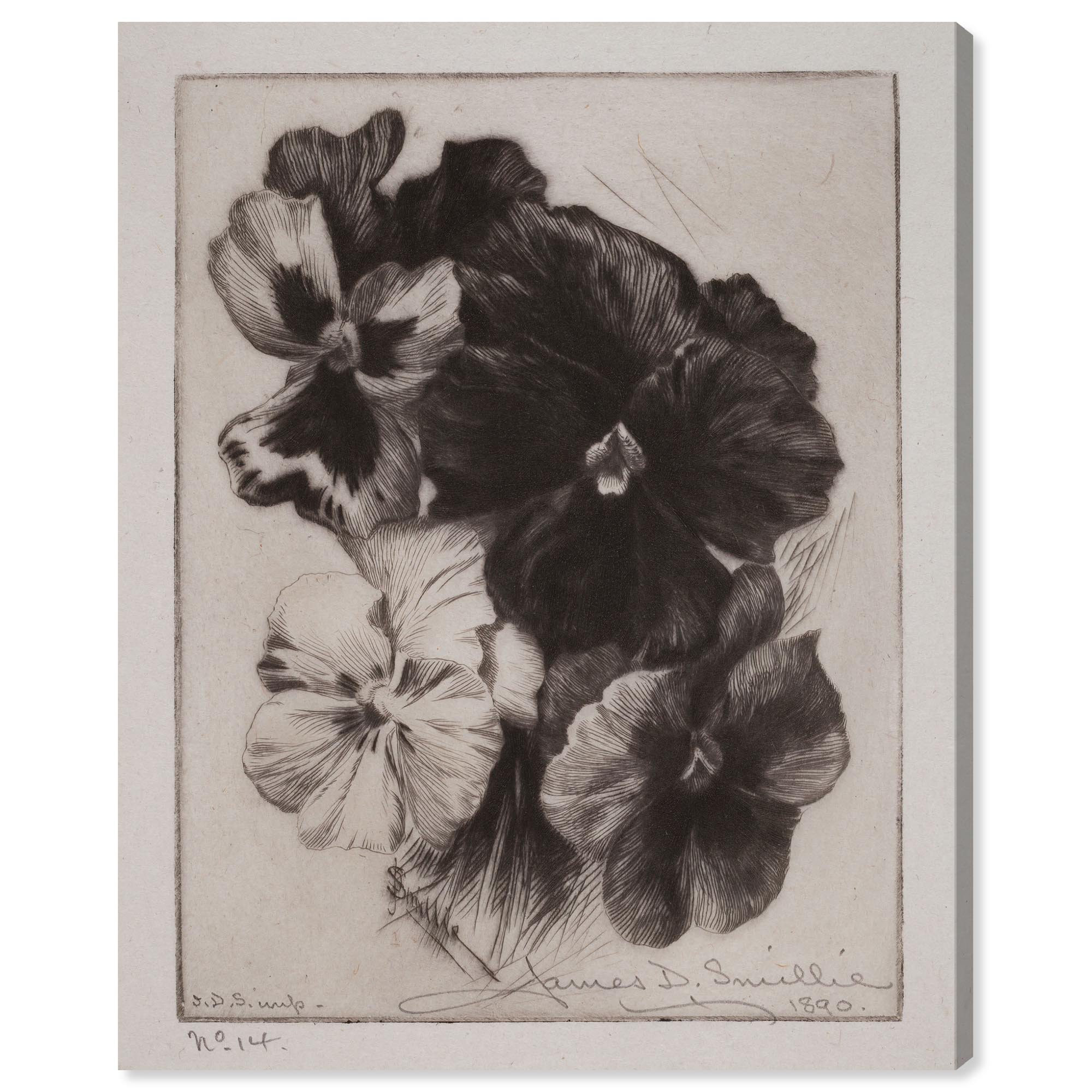 Art Remedy Victorian Pansies Canvas Print Vintage Art by Art Remedy ...