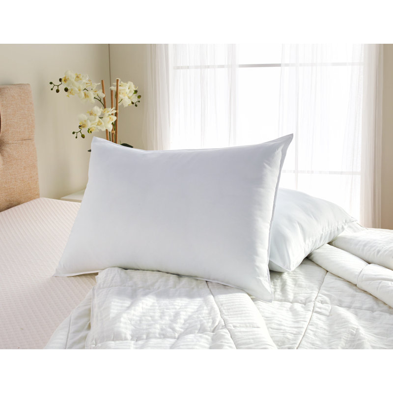 Wayfair Sleep™ Medium Support Pillow & Reviews | Wayfair
