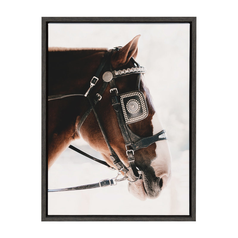 Beachcrest Home™ Shalyce Dramatic Horse Farm Animal Framed On Canvas by ...