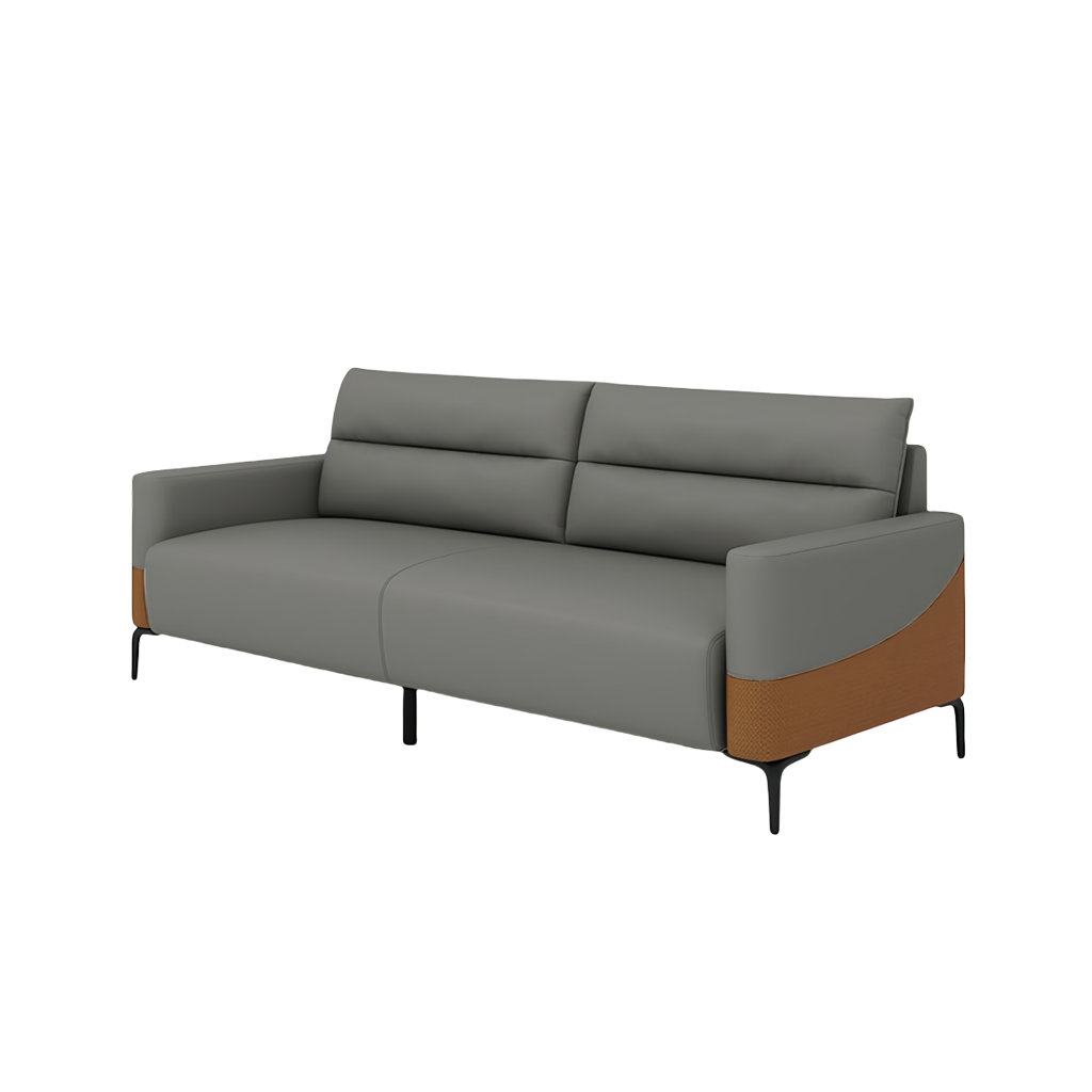 Lifton Modern simple sofa | Wayfair
