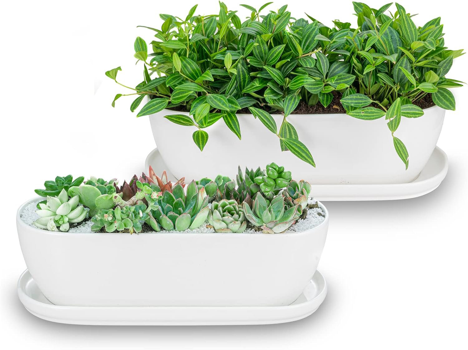 Latitude Run® Set Of 2 Ceramic Plant Pots 11" & 14" With Drainage ...