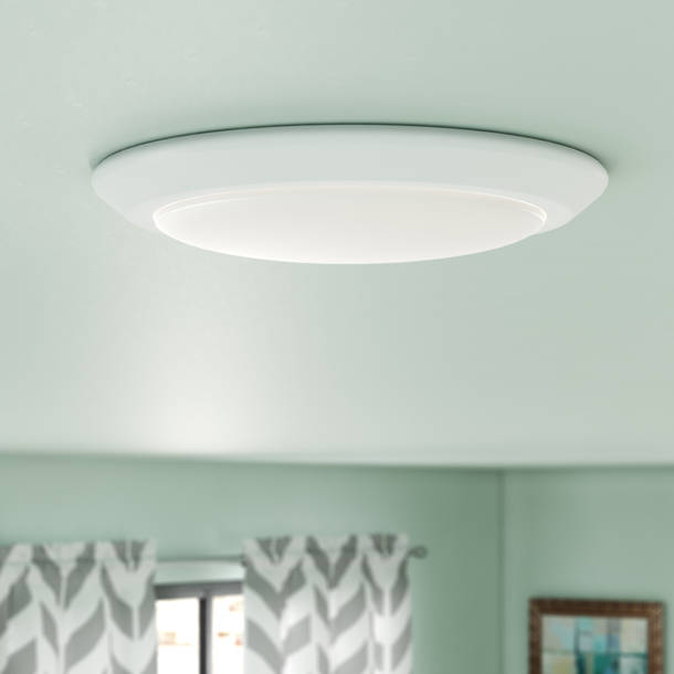 Wrought Studio Riles 1 - Light Single Pendant | Wayfair