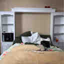 Red Barrel Studio® Fusami 82.3" H x 104.3" W Standard Bookcase ...