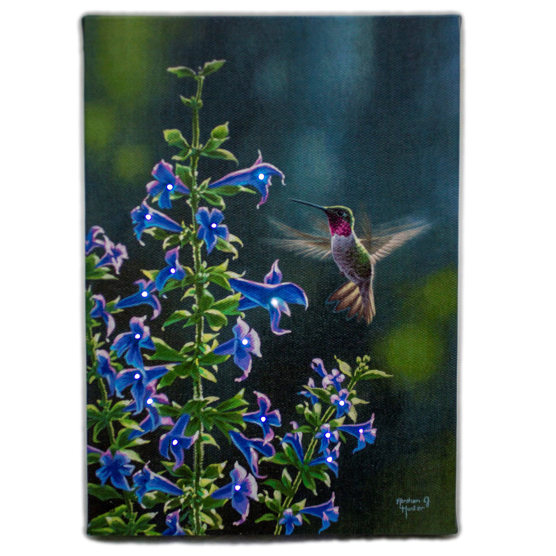 Ebern Designs Antavius Luminous LED Hummingbird Print | Wayfair