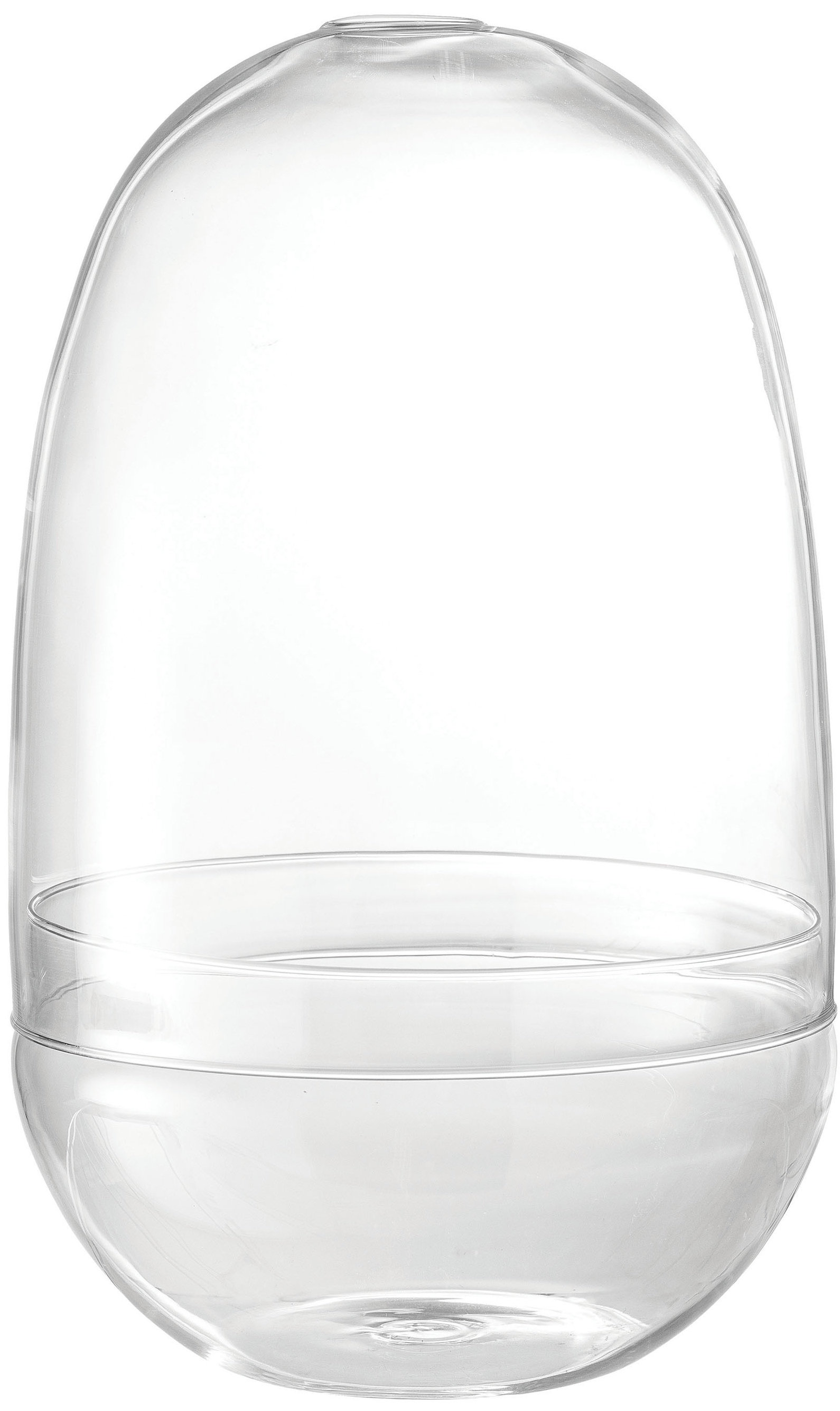 Wrought Studio™ Spalding Round Shaped Glass Terrarium & Reviews | Wayfair