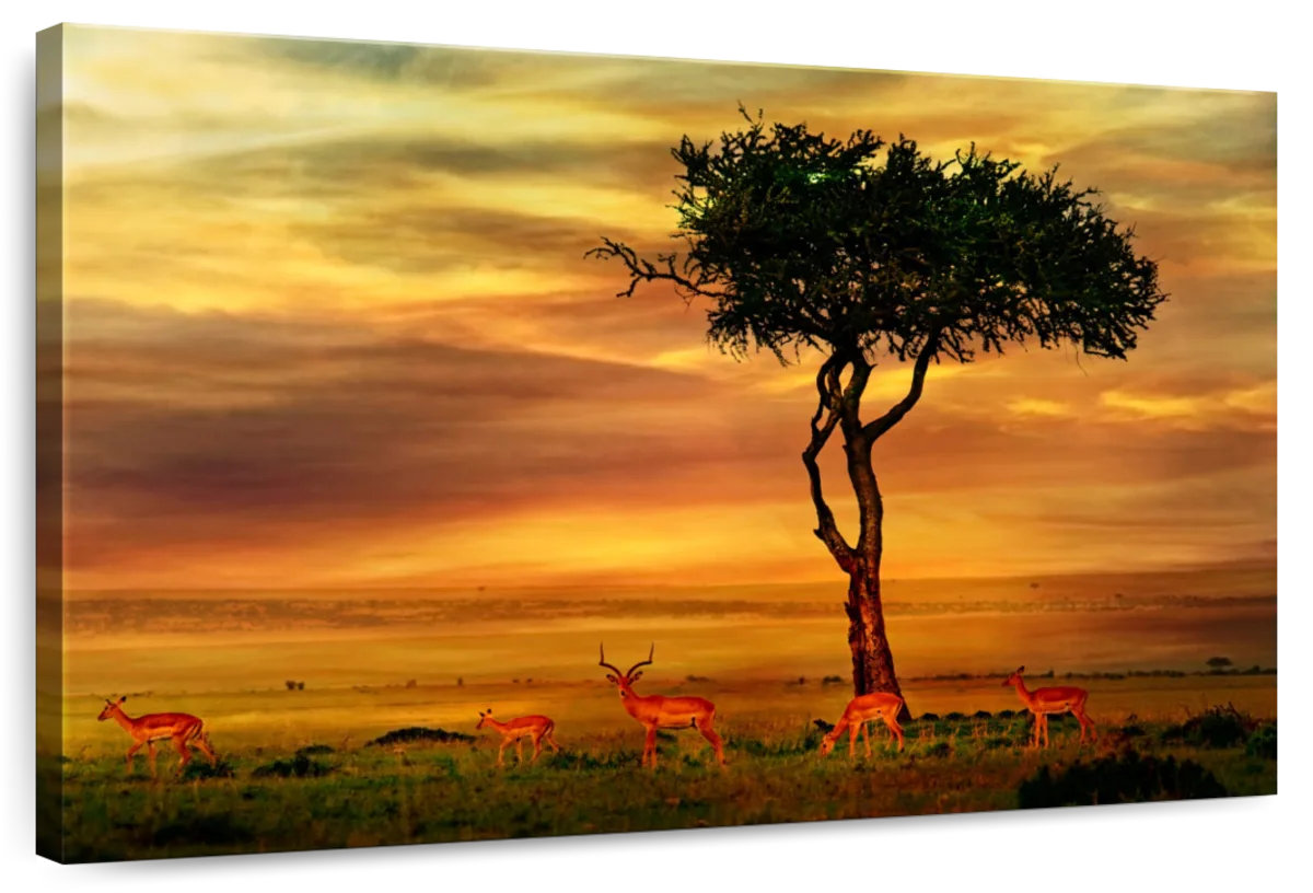 Ebern Designs Brampt African Impalas | Wayfair
