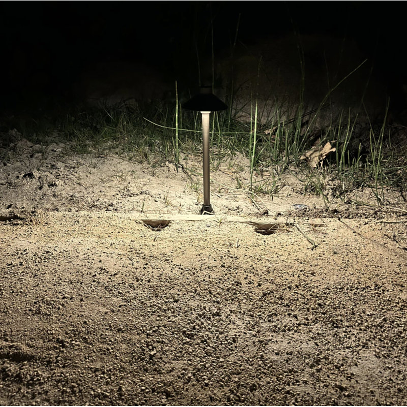 Cardon Lighting Natural Bronze Low Voltage Solid Cast Brass Pathway ...