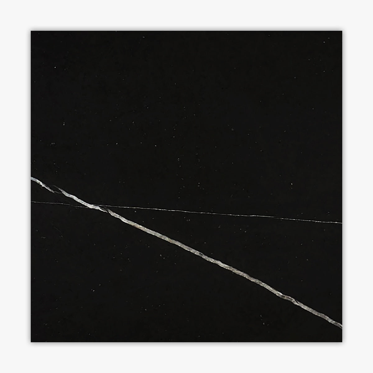 Direct Stone Source Nero Marquina 18" x 18" Marble Wall & Floor Tile ...