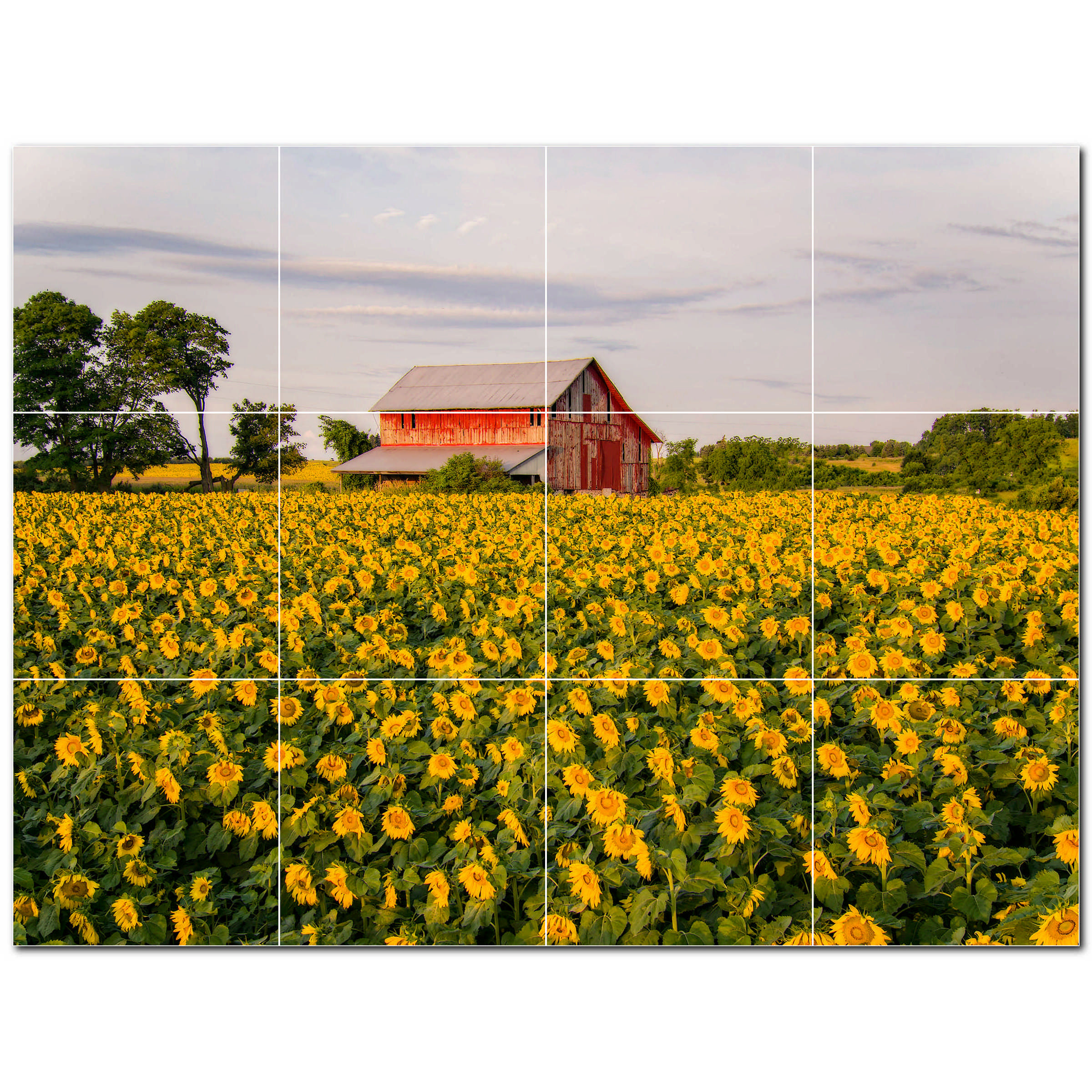 Picture-Tiles.com 36" x 48" Ceramic Farm Photo Decorative Mural Tile ...