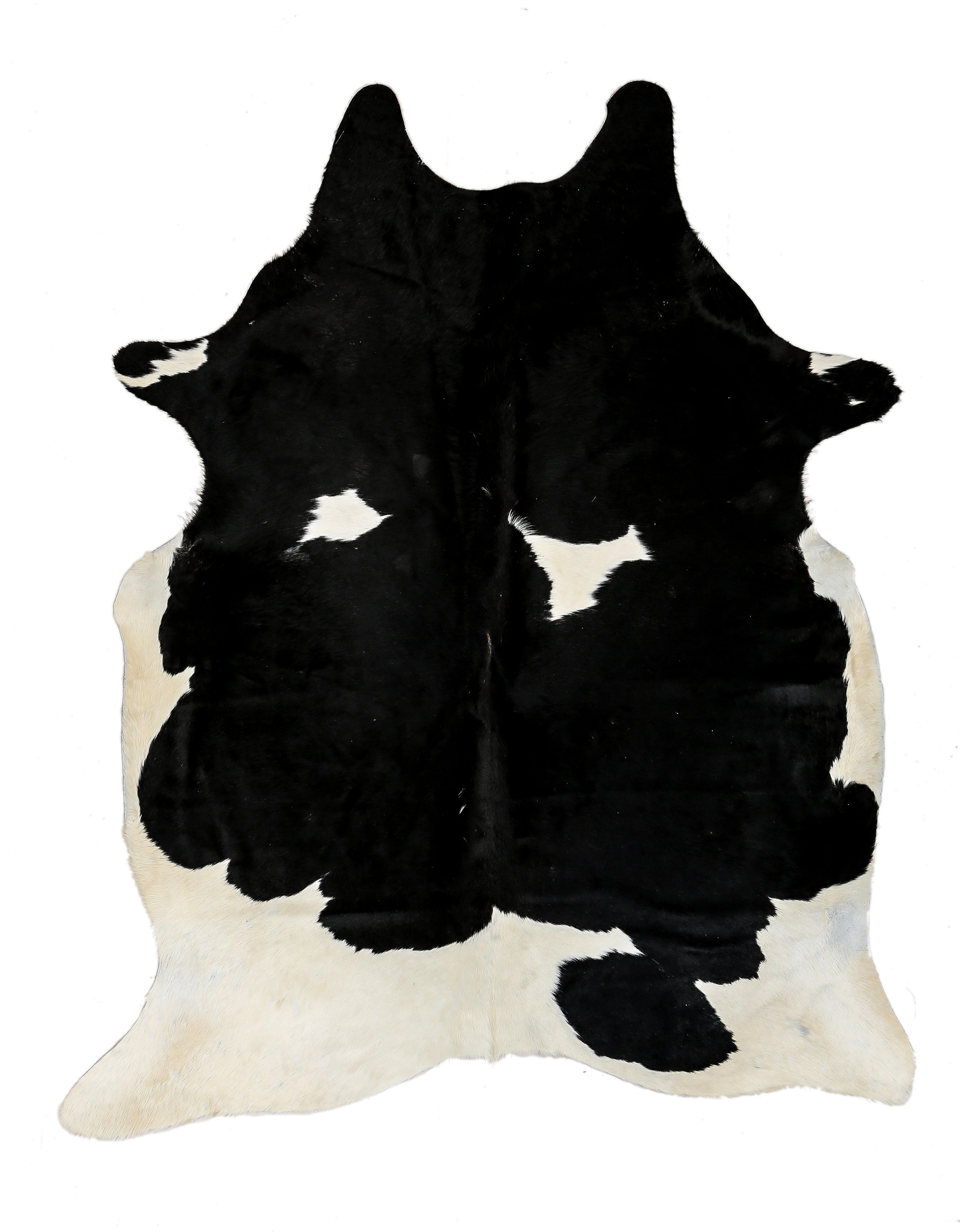 Alpen Home Natural Cow Hide - Black | Wayfair.ie