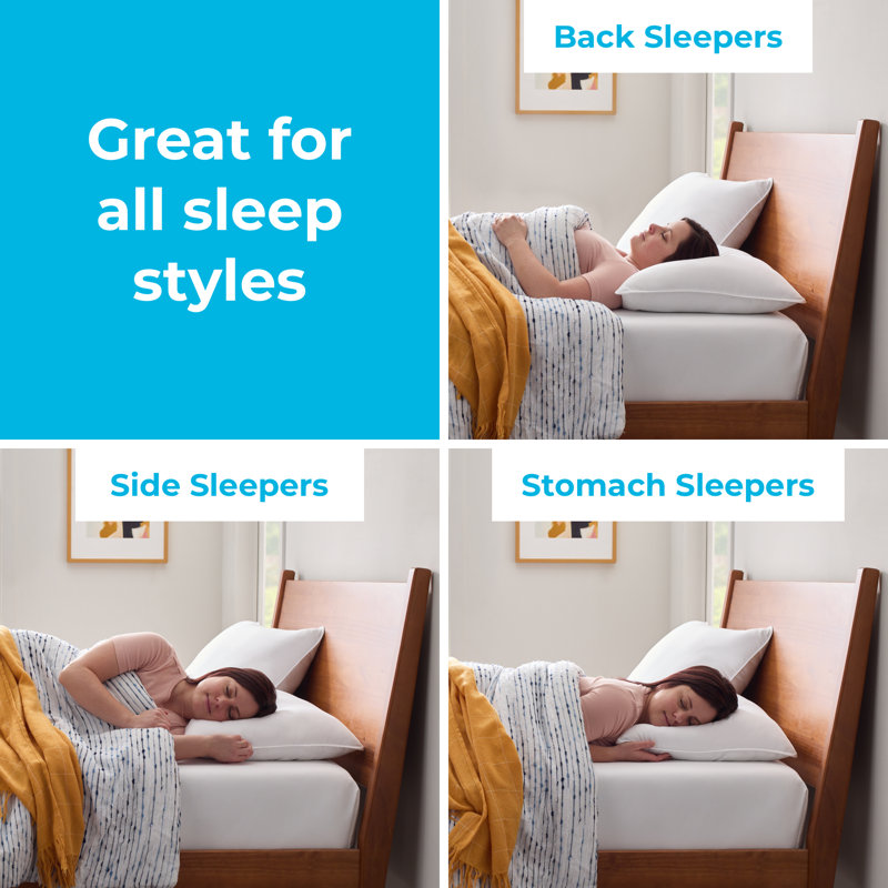 Wayfair Sleep™ Plush Pillow & Reviews | Wayfair