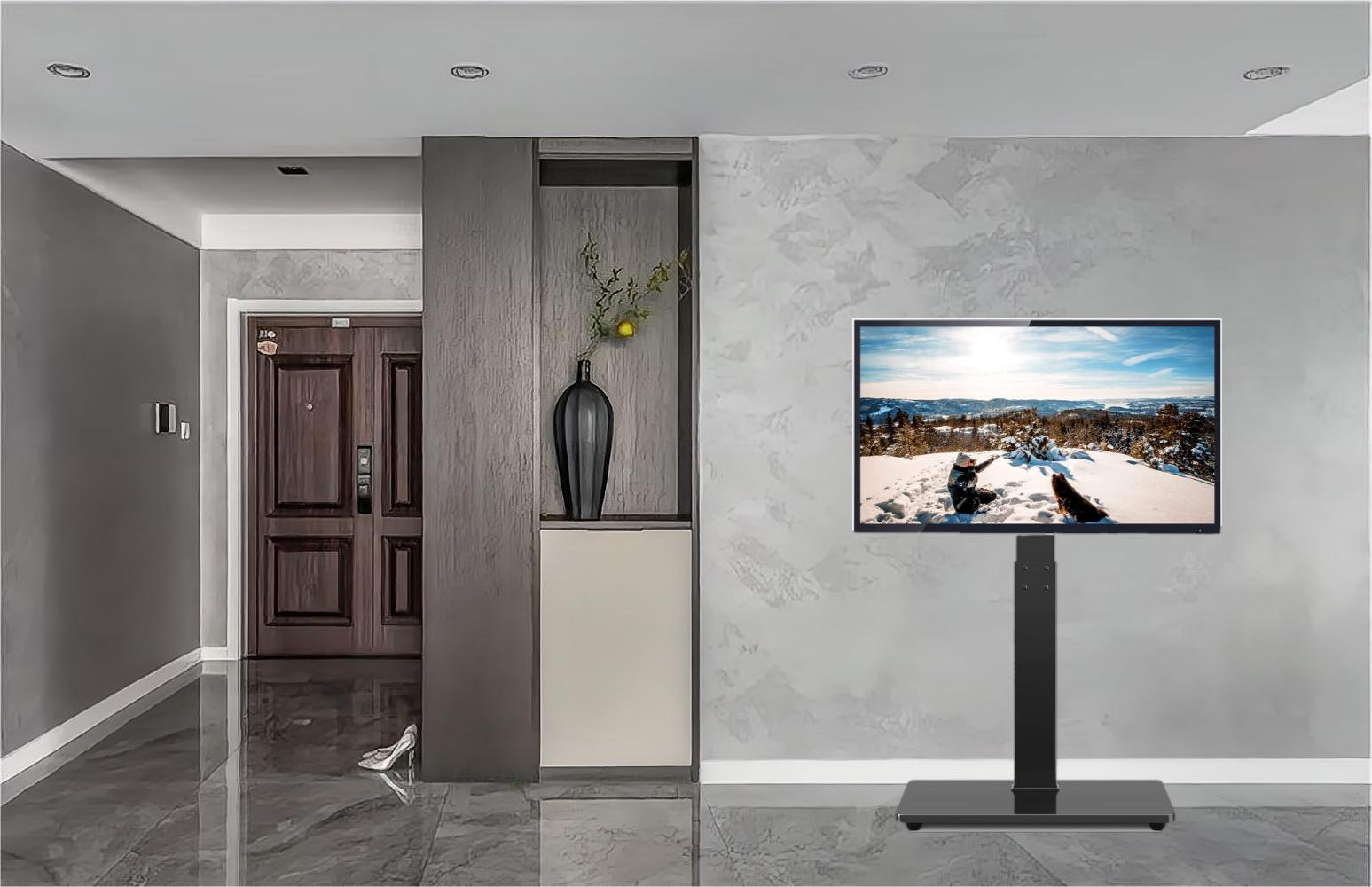 Passetas Single Screen Floor Stand Mount | Wayfair