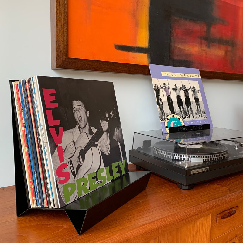 Ebern Designs Dungorbery Vinyl Record Album Tabletop Display & Storage ...