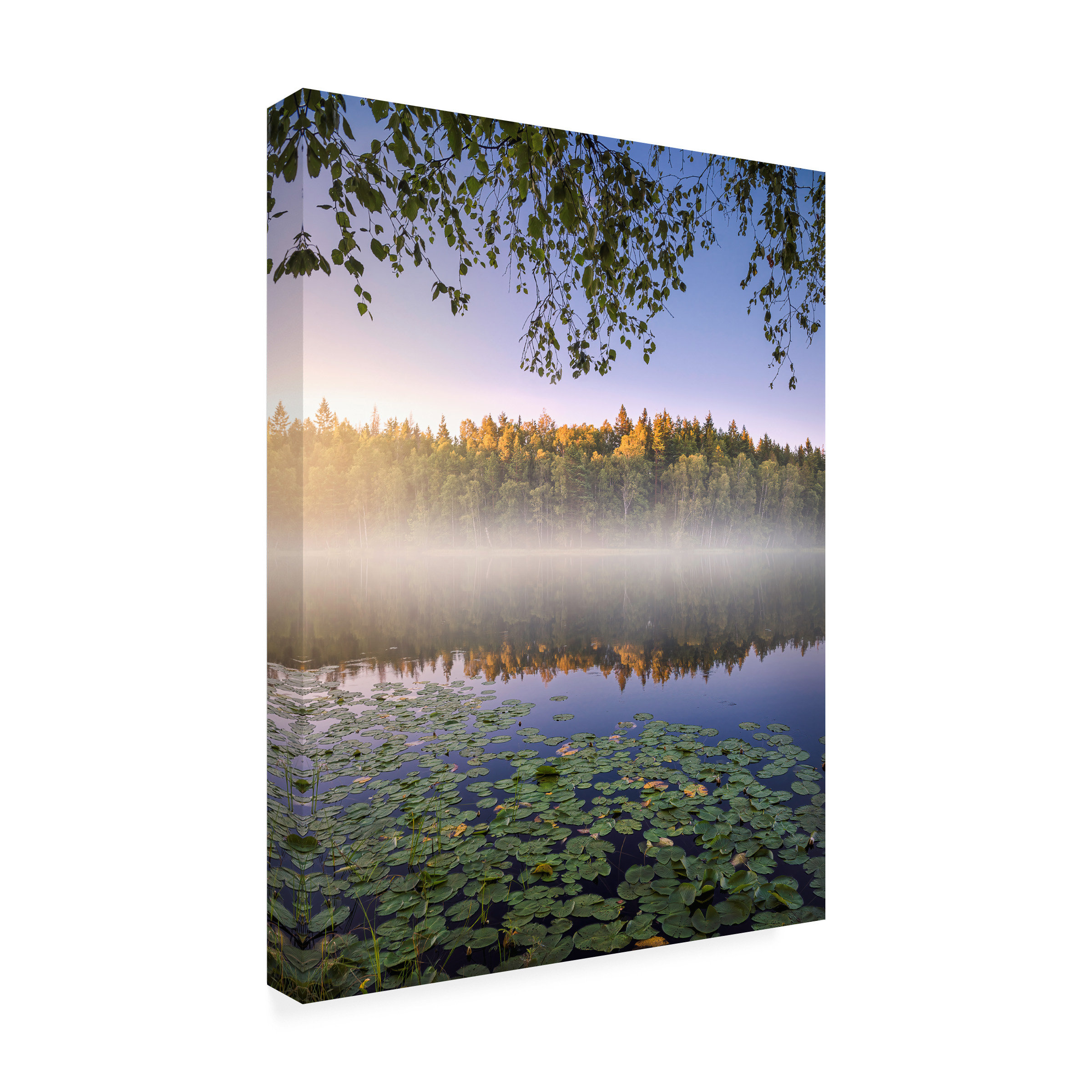Latitude Run® Calm Summer Night by Christian Lindsten - Wrapped Canvas ...