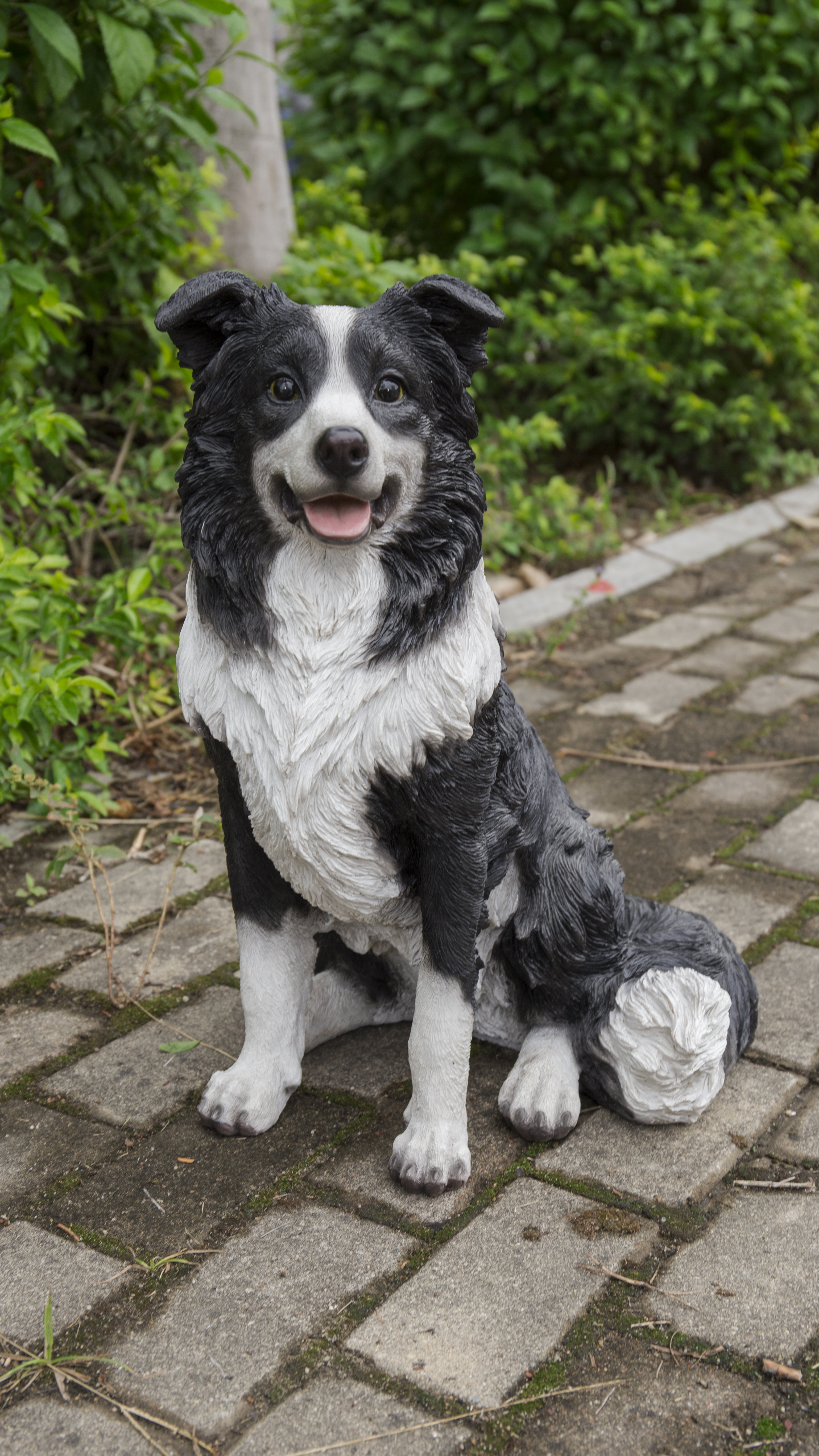 Hi-Line Gift Ltd. Statue Border Collie assis et Commentaires - Wayfair ...