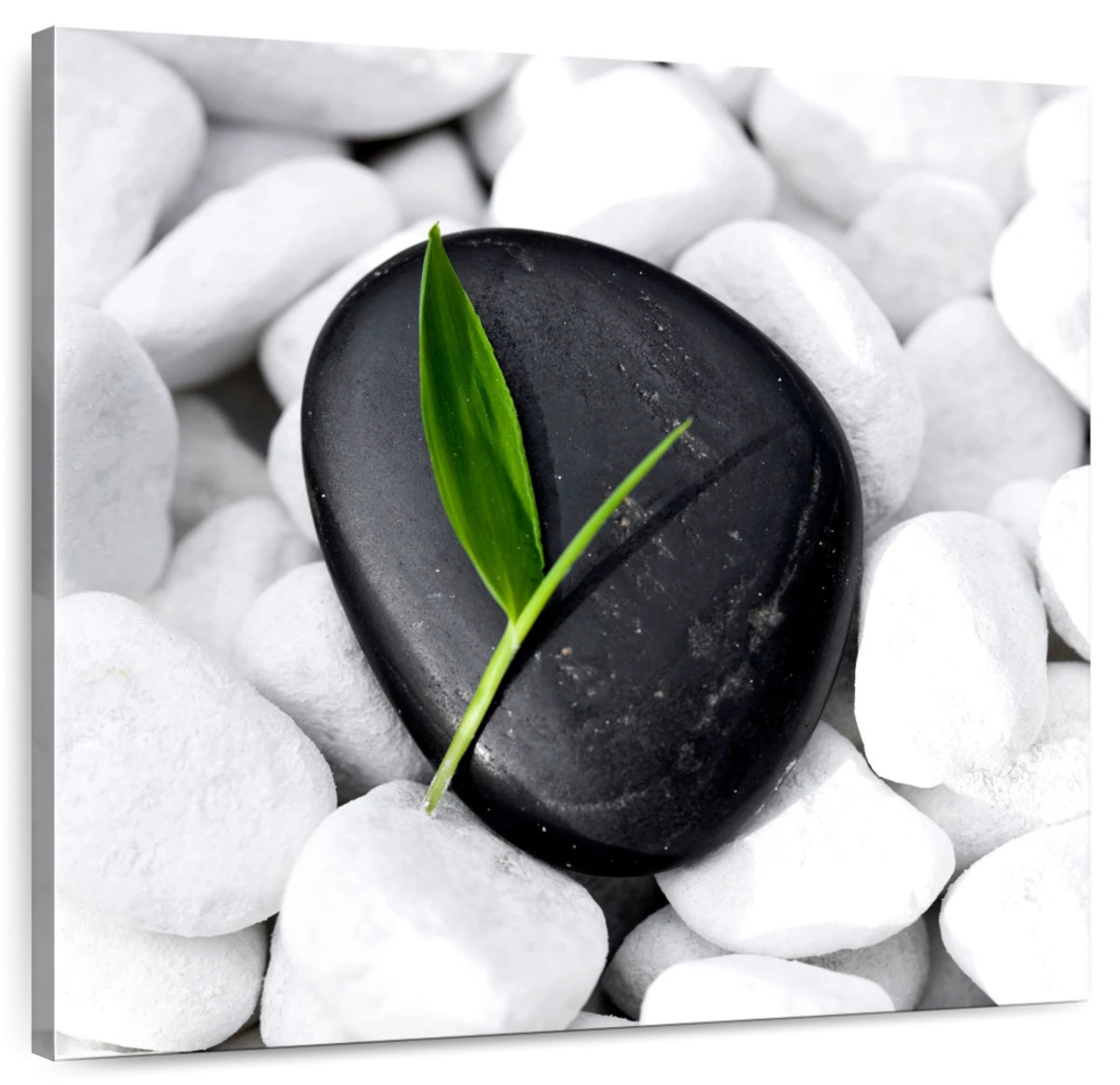 Bungalow Rose Kerrick Zen Stone | Wayfair