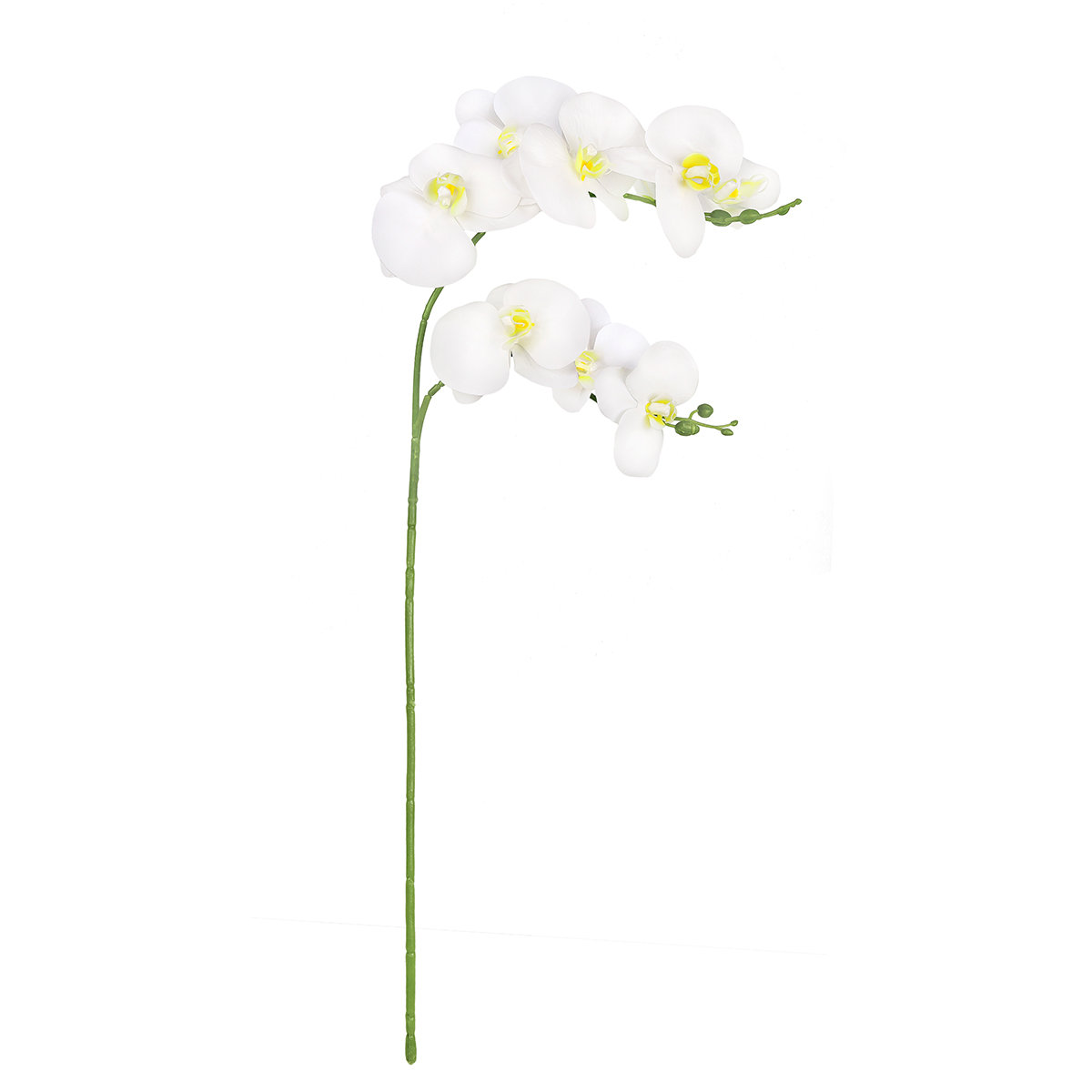 Primrue Artificial Orchid Flower Stem | Wayfair