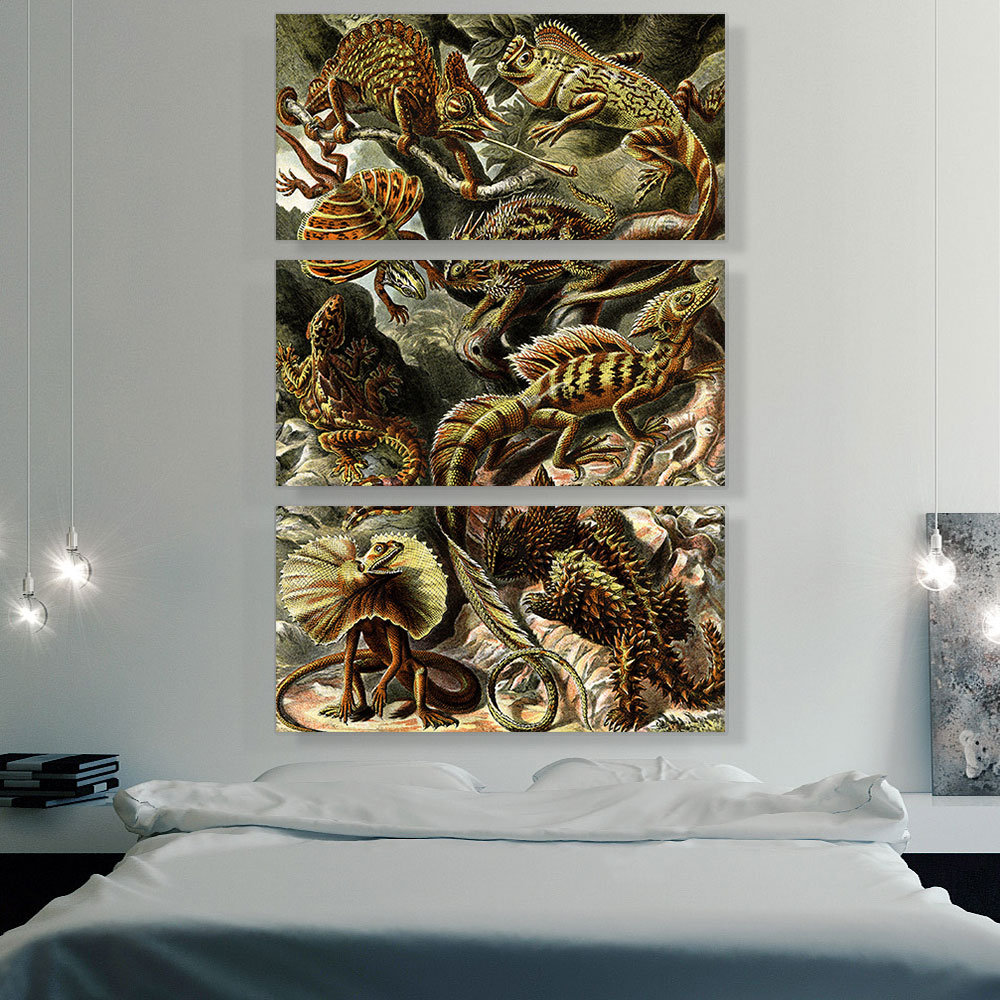 ARTCANVAS Lacertilia Lizards Reptiles 1904 Canvas Art Print By Ernst ...