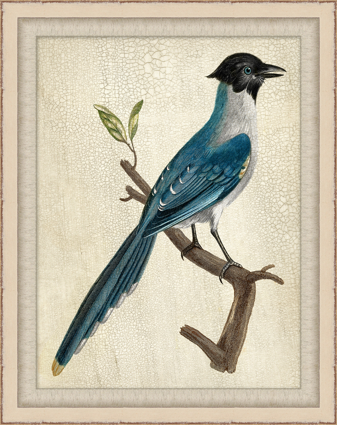 Wendover Art Group Blue Birds 3 - Picture Frame Painting on Paper | Wayfair