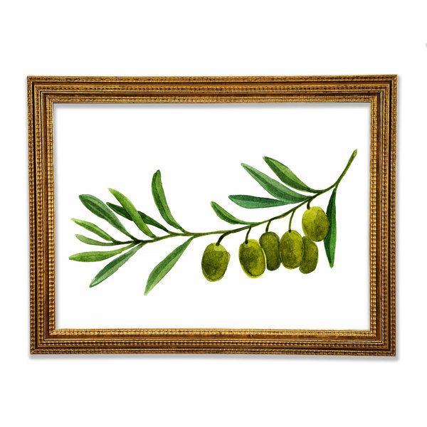 August Grove Olive Branch - Print | Wayfair.co.uk