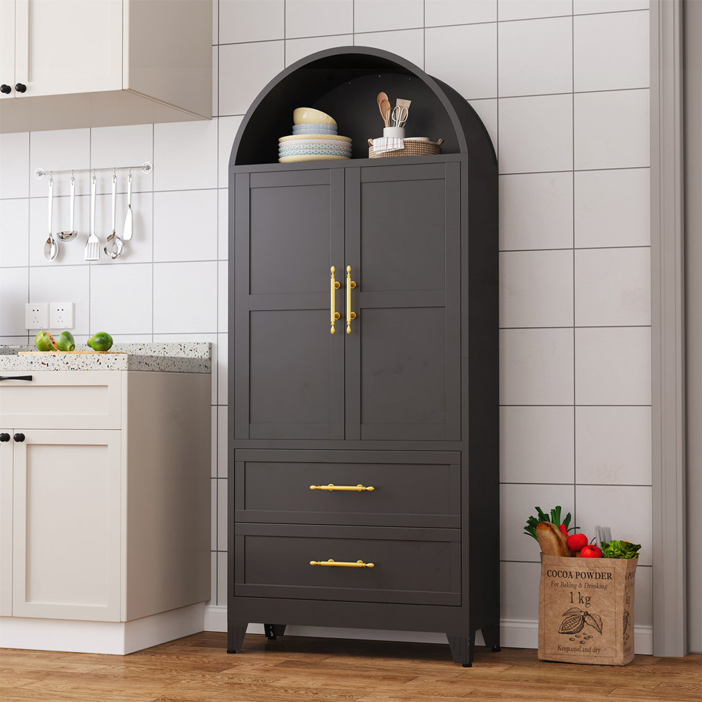 Takason Modern style metal Circular arc top cabinet - Wayfair Canada