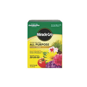 Miracle-Gro All Purpose Plant Food Growing Kit | Wayfair