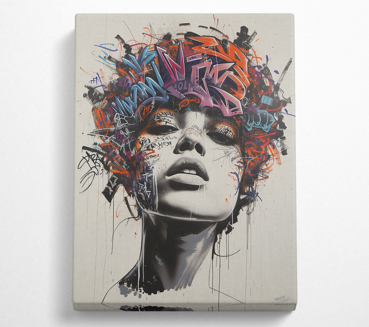 Fairmont Park Graffiti Head Woman - No Frame Art Prints on Canvas ...