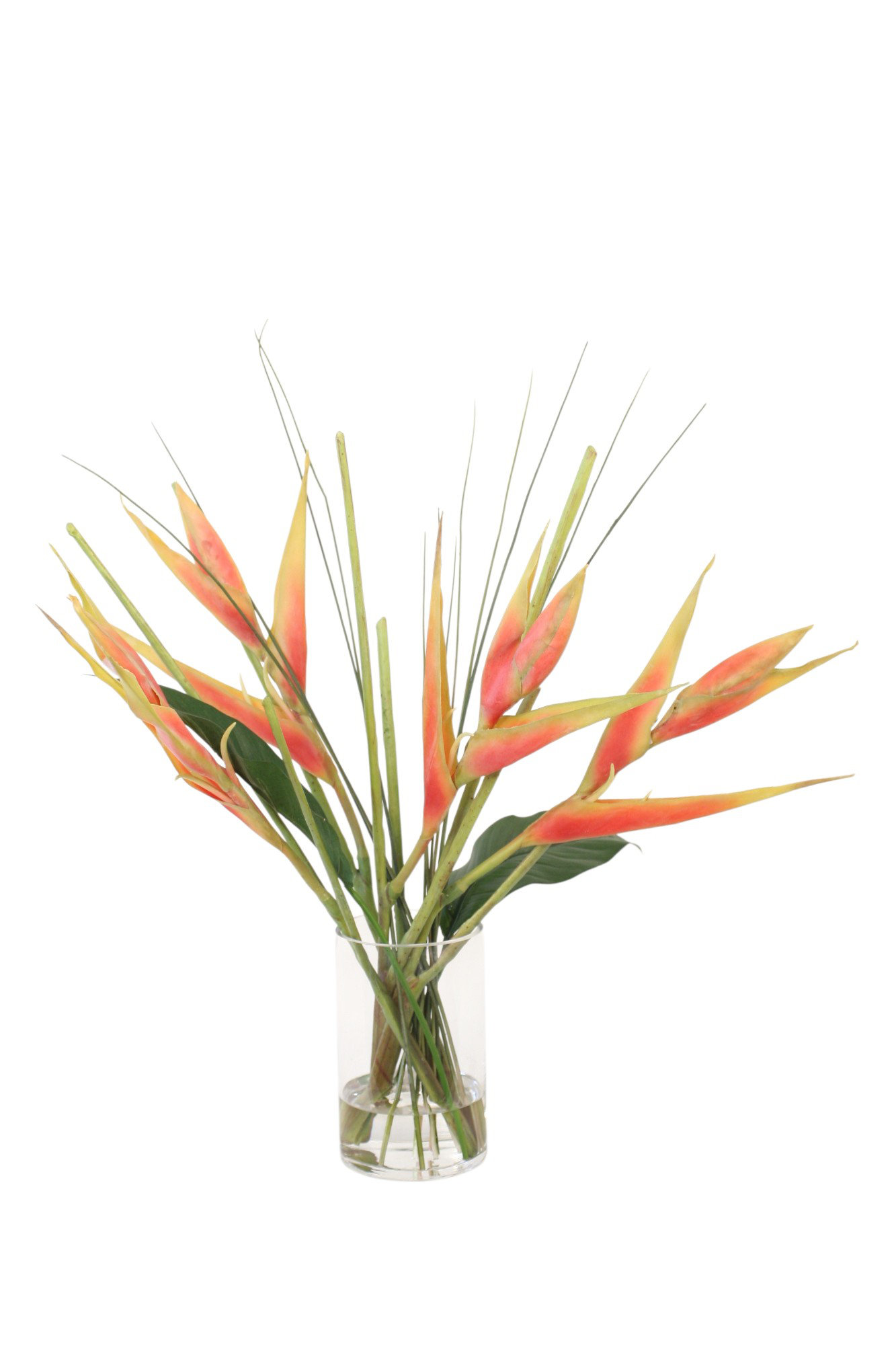 Red Barrel Studio® Heliconia's with Mixed Green Grass and Split Philo Leaf | Wayfair