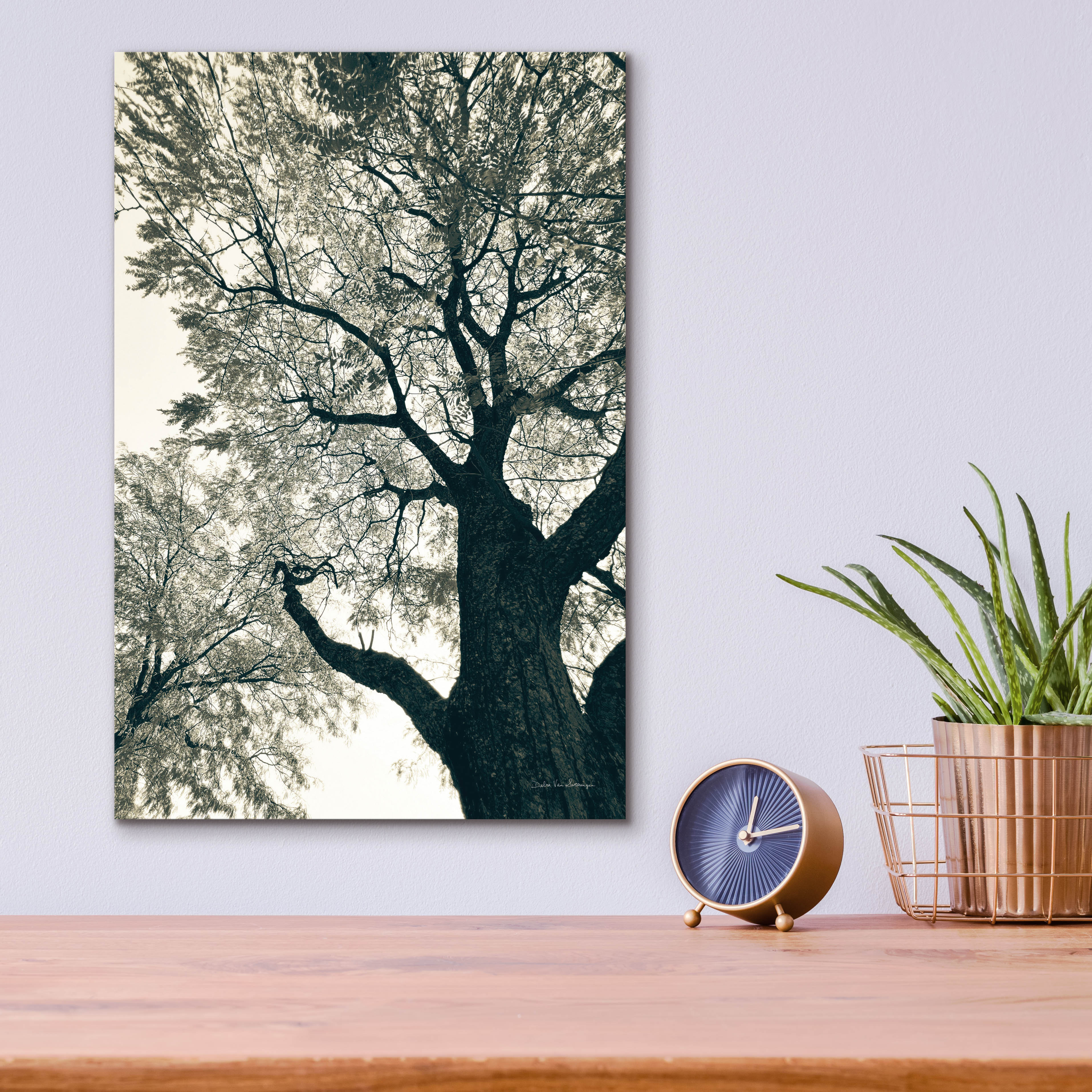 Ebern Designs 'Branching Out 2' by Debra Van Swearingen Acrylic Glass ...