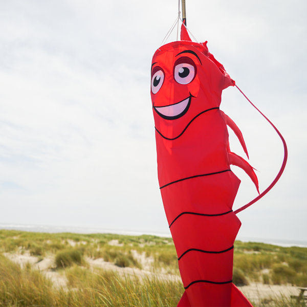 In The Breeze Lobster 3D Windsock | Wayfair