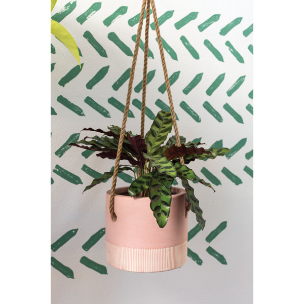 Ruybal Ceramic Hanging Planter | Joss & Main