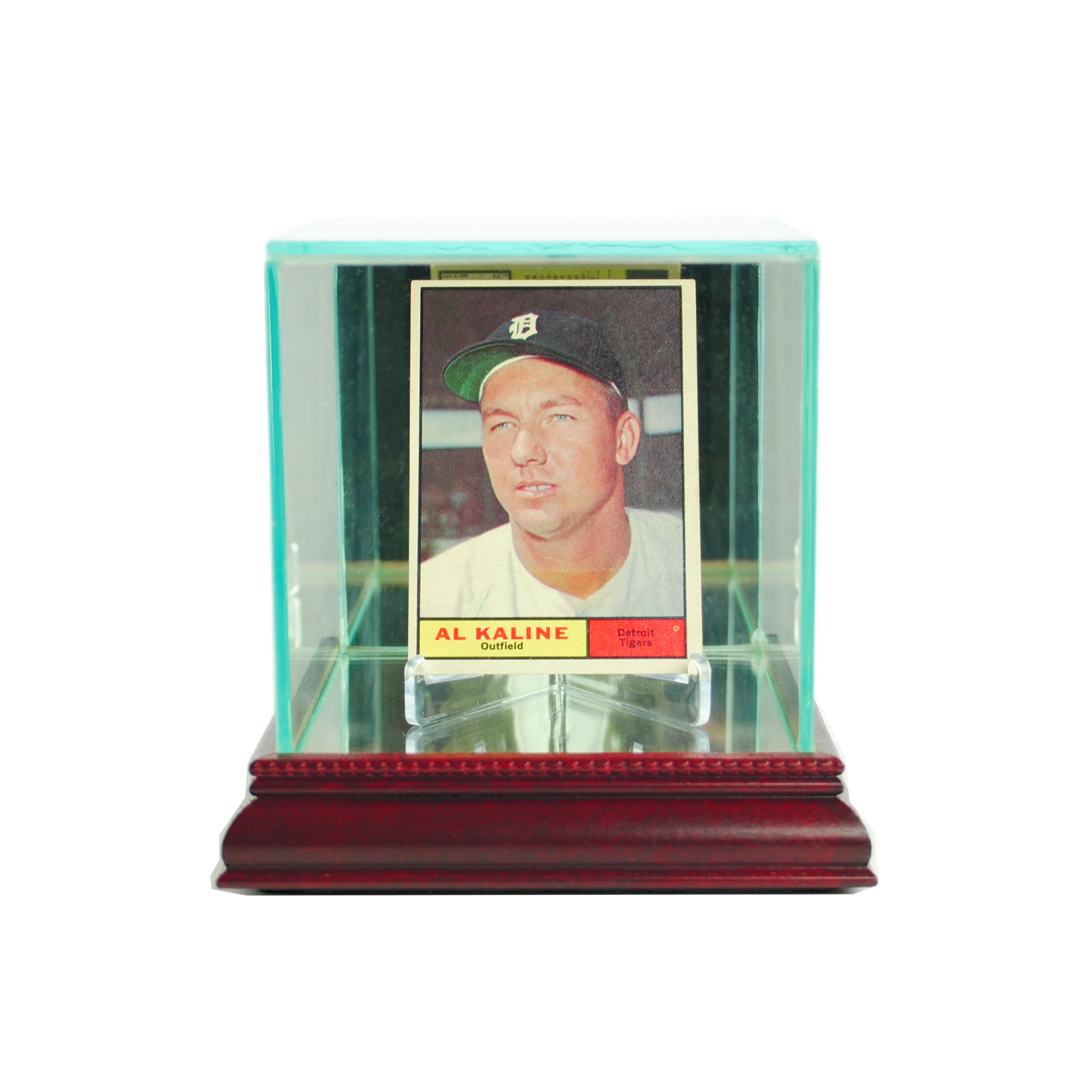 Perfect Cases and Frames Single Card Display Case & Reviews | Wayfair