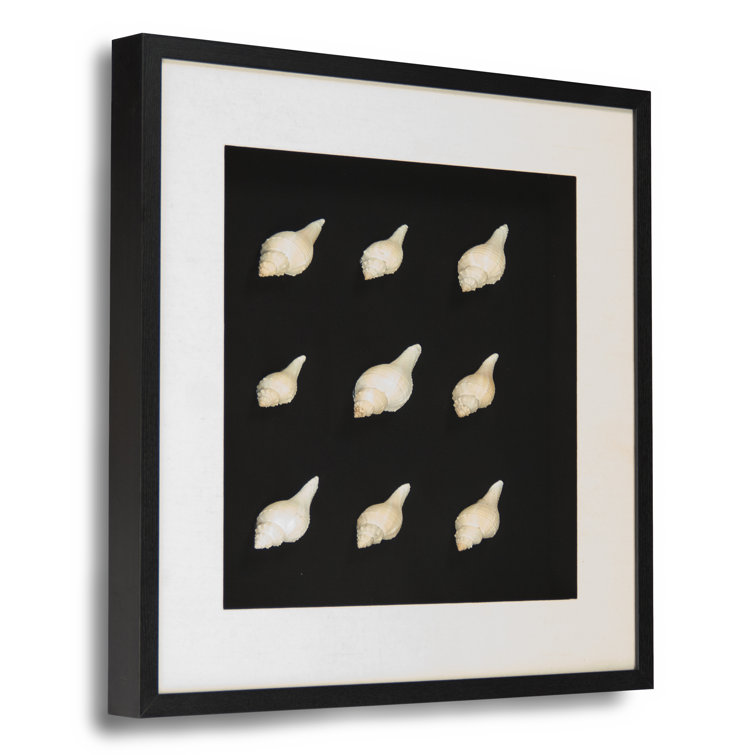 Zentique Abstract Shell Art Framed On Paper Print | Wayfair