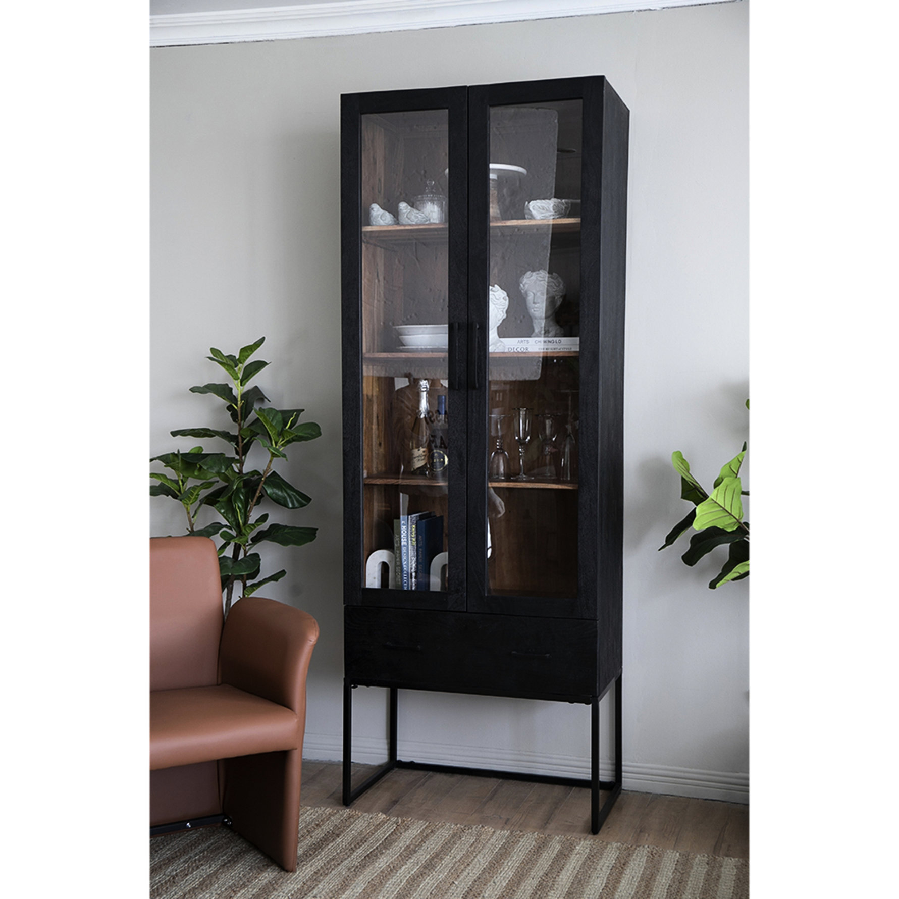 CaneCreations Contemporary Black Cabinet With Glass - 188.8 Lbs Visible ...