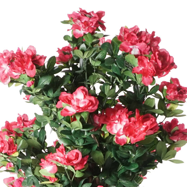 House of Hampton® 44" Multi Vine Trunk Azalea Flowering Tree in Pot ...