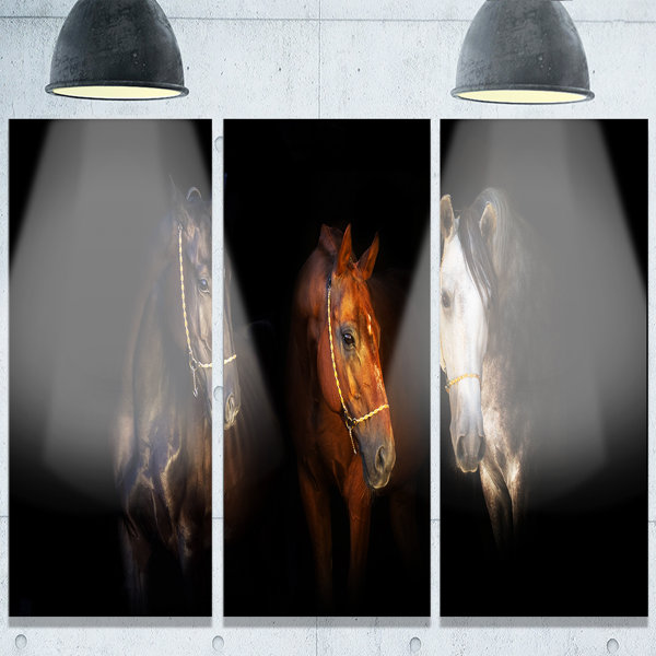 DesignArt Three Horses With Golden Bridle On Canvas 3 Pieces Print ...