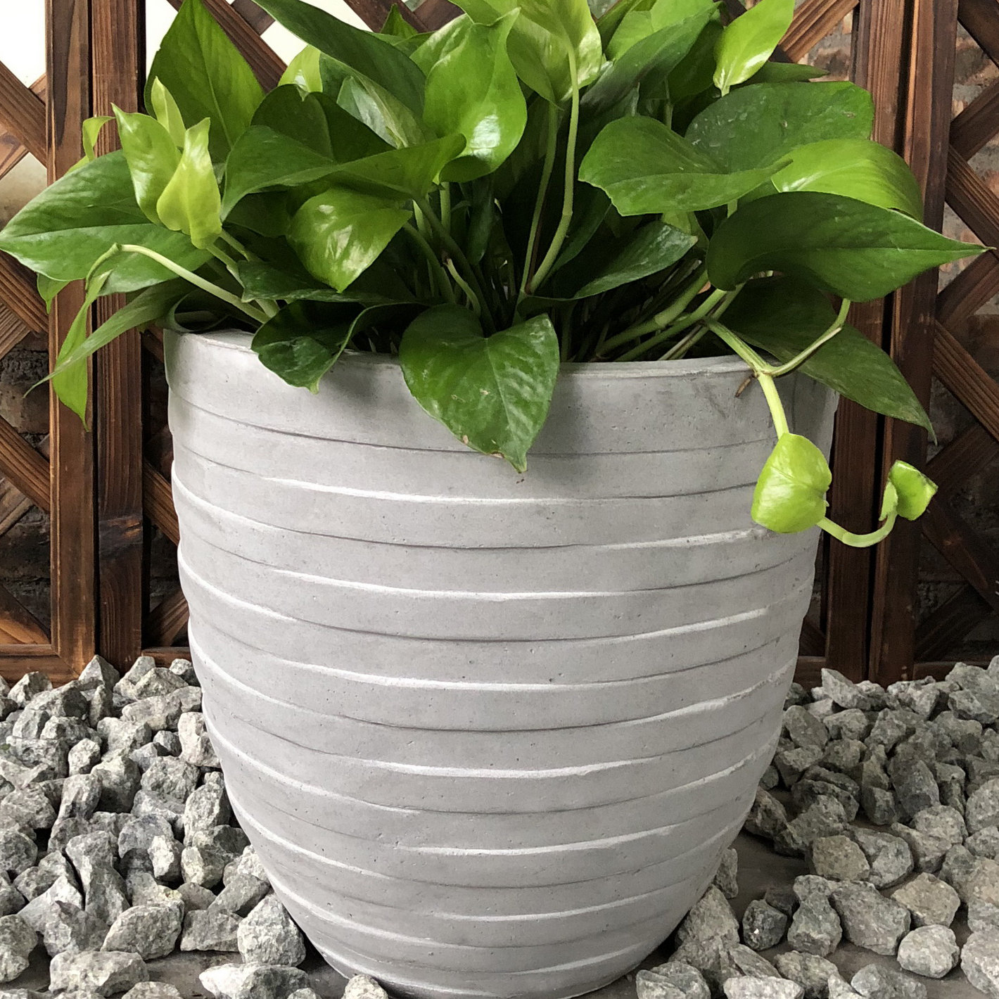 Ebern Designs Colchester Pot Planter - Wayfair Canada