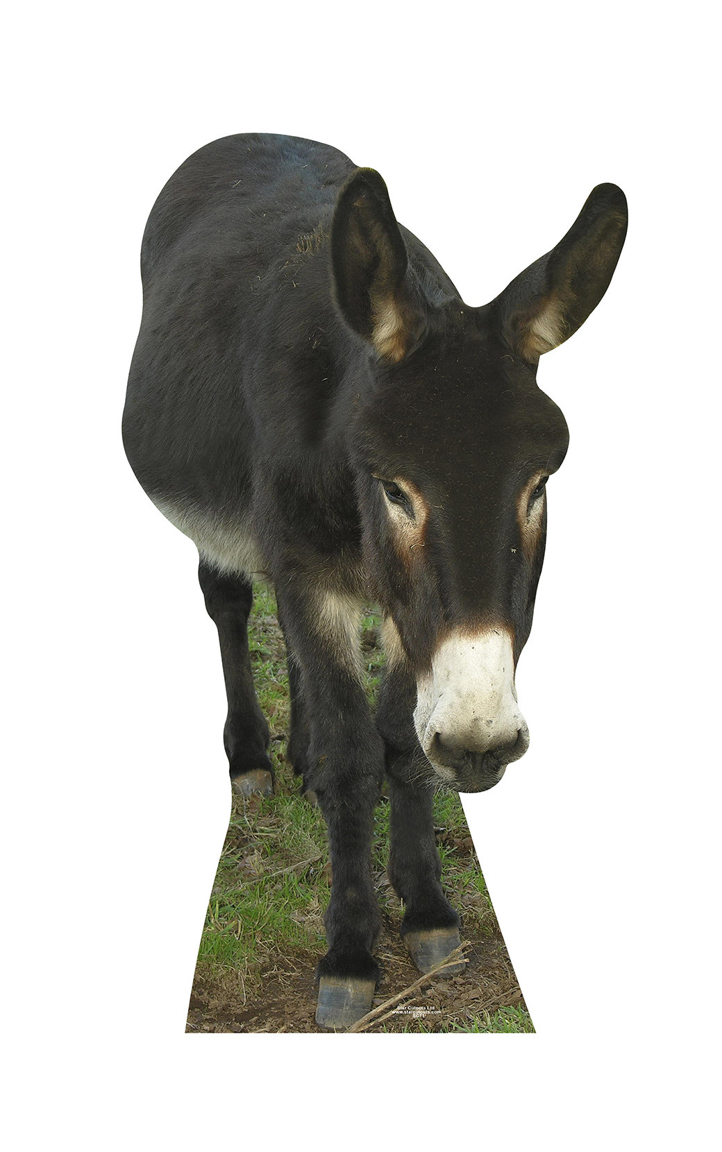 Star Cutouts Donkey Cardboard Standup - Wayfair Canada