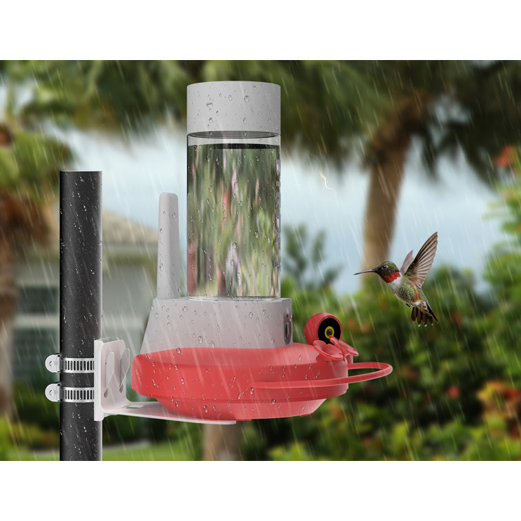 Birdfy Solar Powered Hummingbird Feeder AILifetime Free With 2K Dual ...