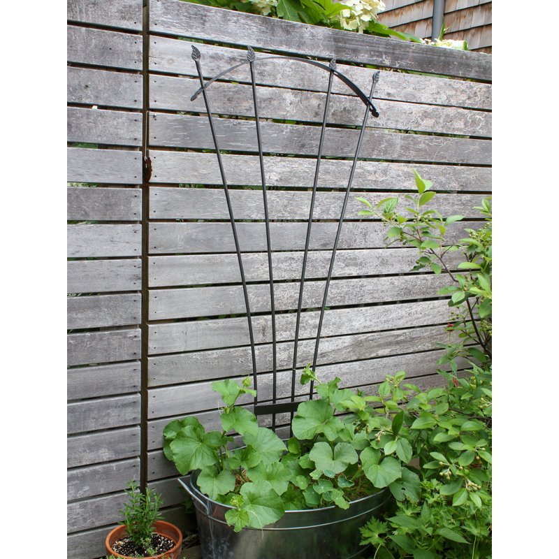 Charlton Home® Goldenberg Steel Fan Trellis & Reviews | Wayfair