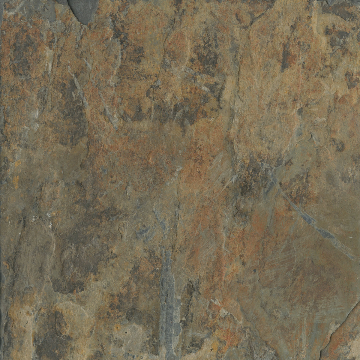 Emser Tile Natural Stone 16" x 16" Tile & Reviews | Perigold