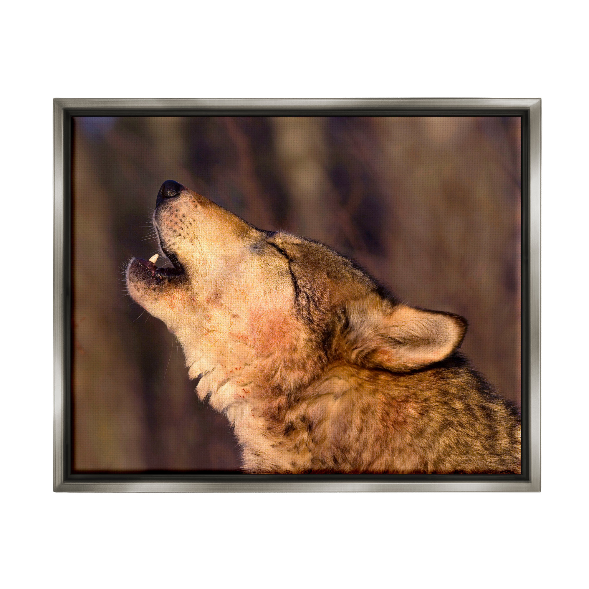 Stupell Industries Howling Wolf Photography Canvas Wall Art Design by ...
